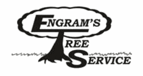 When Is the Right Time to Trim Oak Trees | Engram's Tree Service